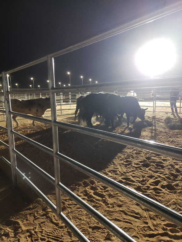 Saudi Arabia - RICE RODEO COMPANY